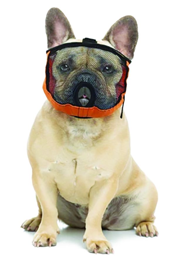 Dog Muzzles: When To Use Them and How - Whole Dog Journal