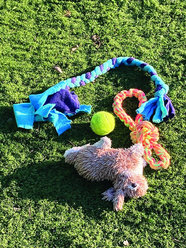 How to Wash Dog Toys | Cleaning Dog Toys