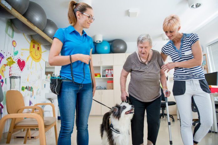 What is a Therapy Dog | Therapy Dog Training Requirements