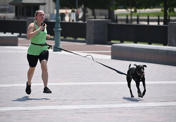Running With Your Dog - Whole Dog Journal