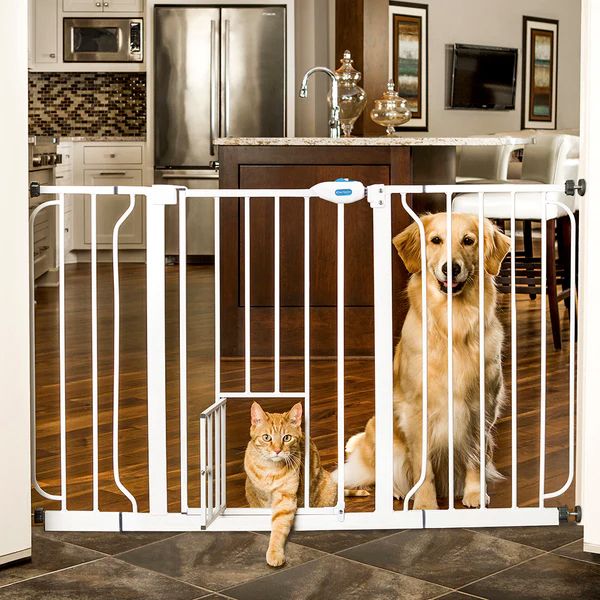 Types of Dog Gates - Whole Dog Journal
