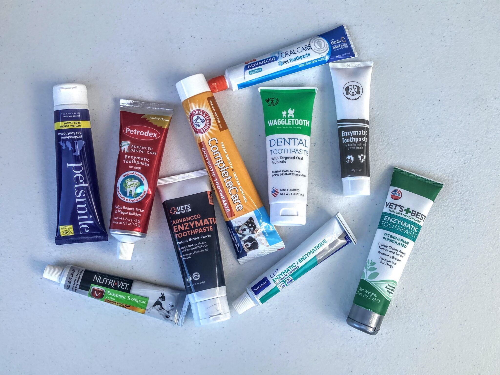 At-Home Dental Care for Dogs - Whole Dog Journal