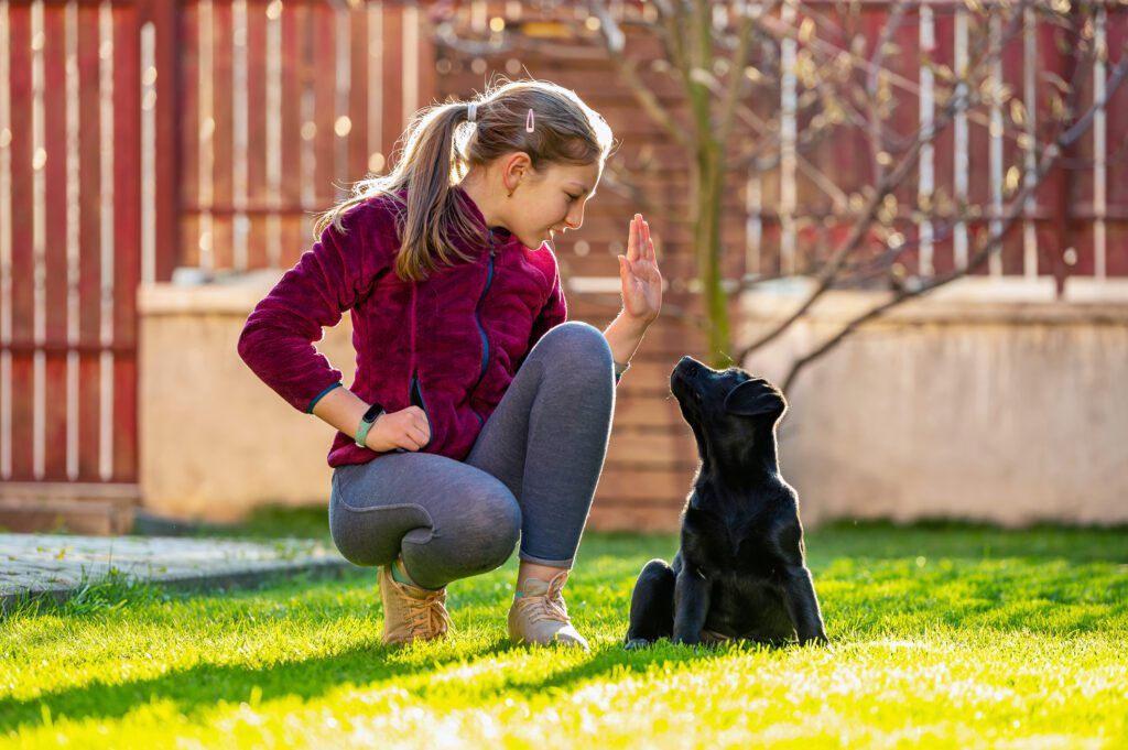Dog Training for Kids and Other Beginners - Whole Dog Journal
