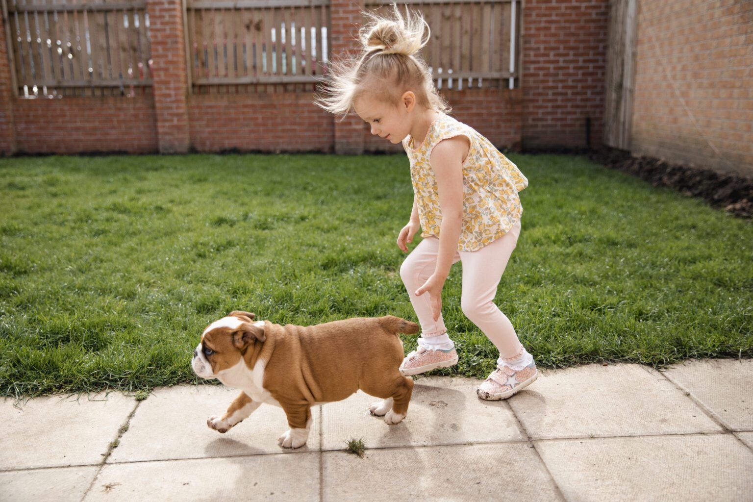 Surprising Signs A Dog Is Uncomfortable With A Child Images