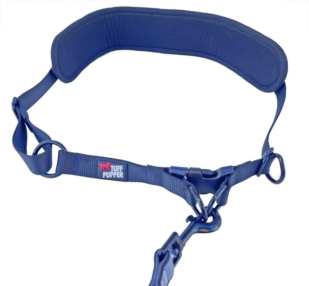 Dog Walking Belt Review: Hands Free Dog Walking - Whole Dog Journal