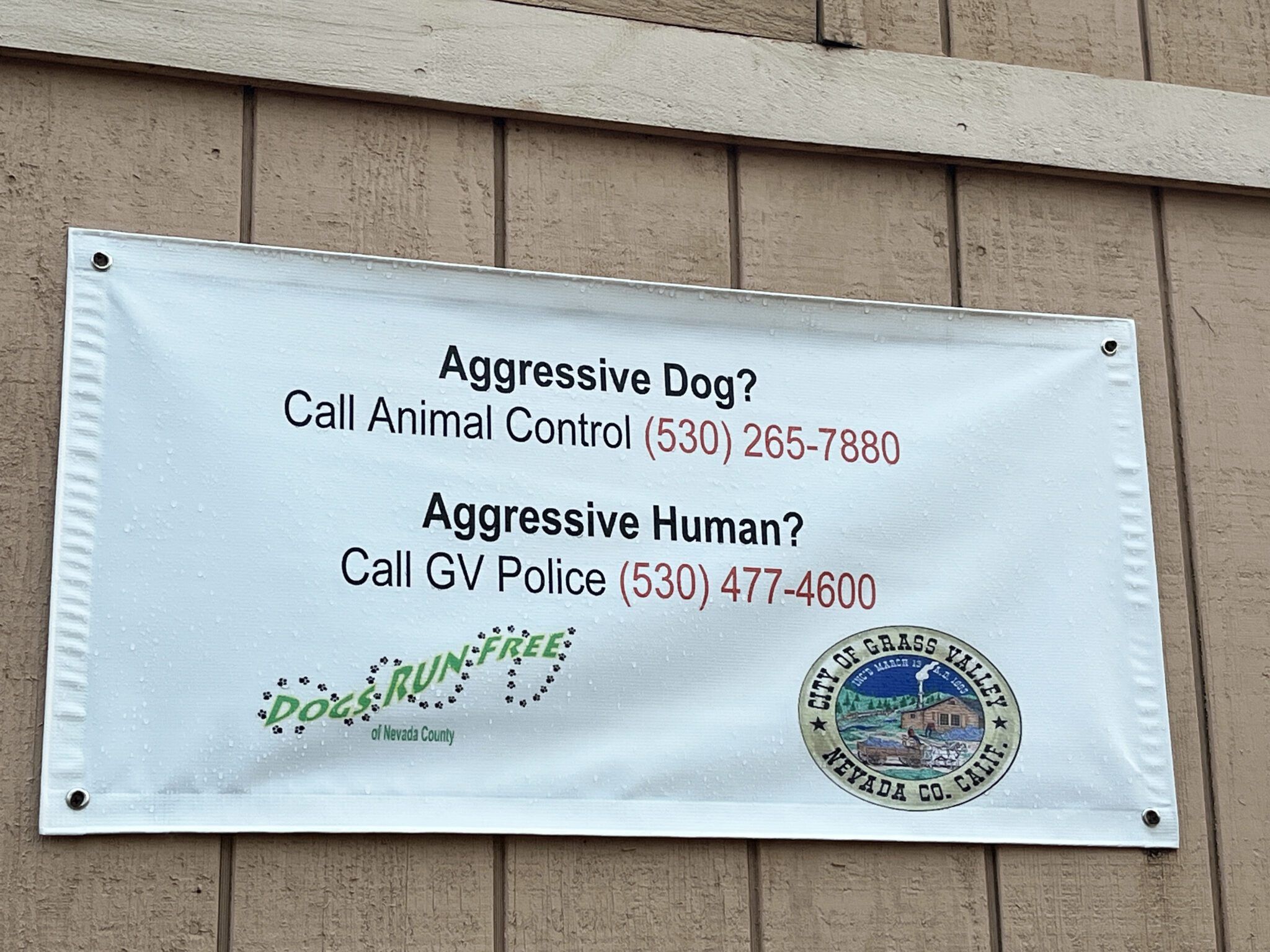 Dog Park Rules - Whole Dog Journal