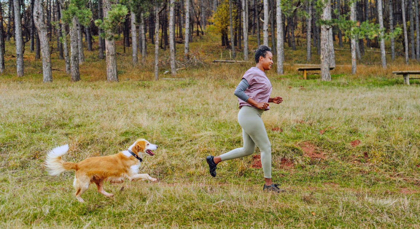 Why Do Dogs Run Away? - Whole Dog Journal