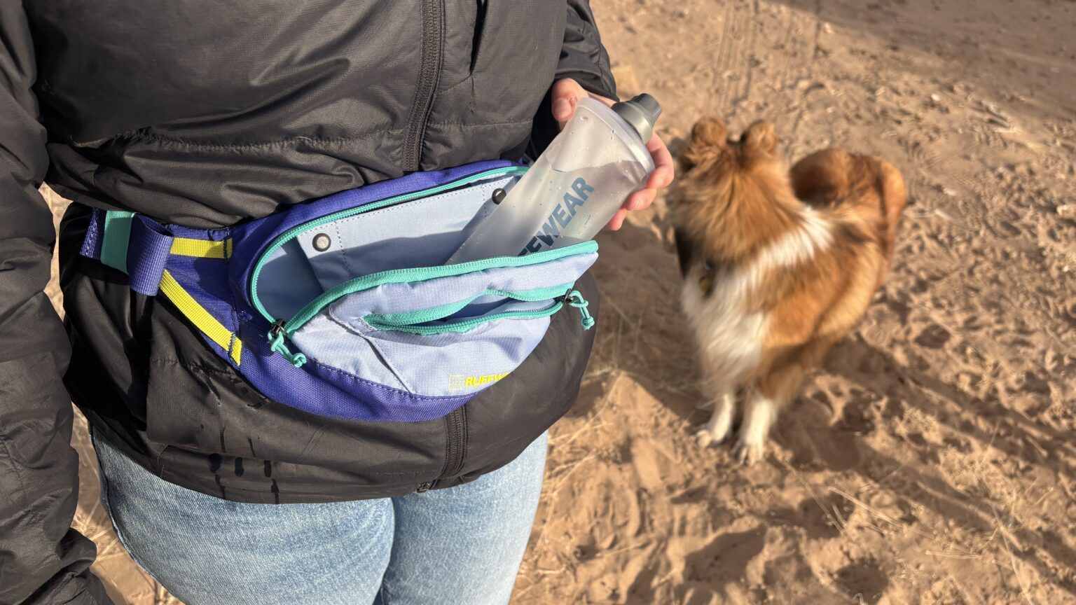 Best Dog Water Bottles for Hikes - Whole Dog Journal