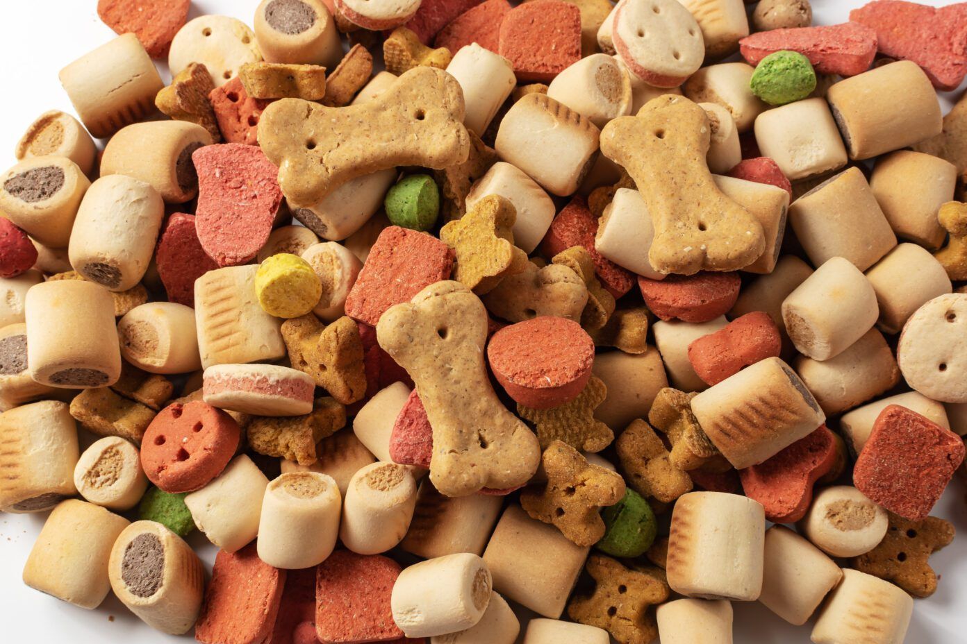 How Many Treats Can a Dog Have Per Day? - Whole Dog Journal