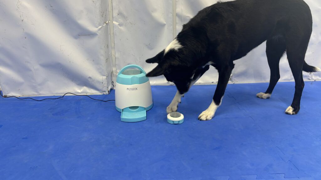 The Best Remote Dog Treat Dispensers and How To Use Them - Whole Dog ...