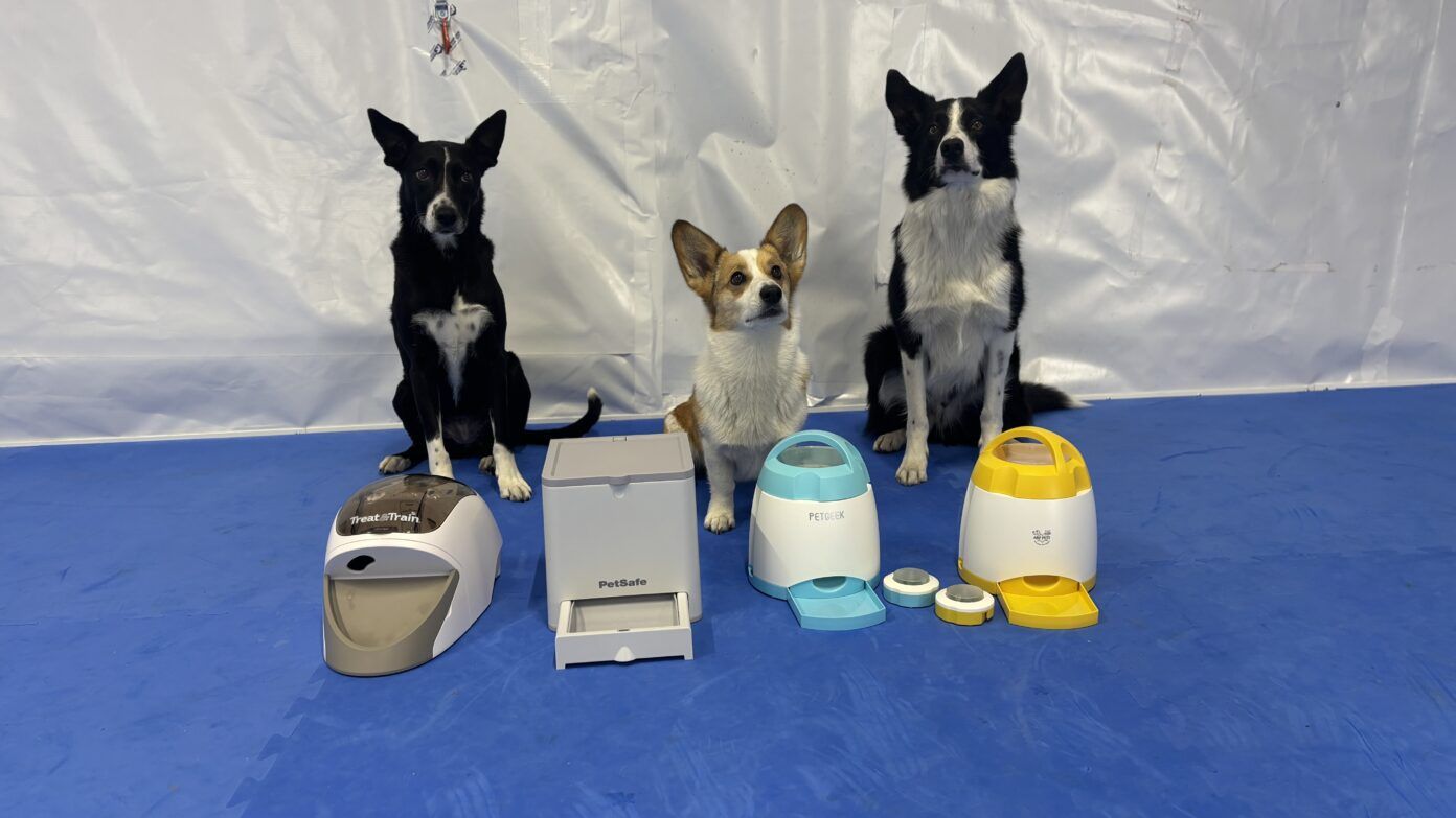 The Best Remote Dog Treat Dispensers and How To Use Them - Whole Dog ...