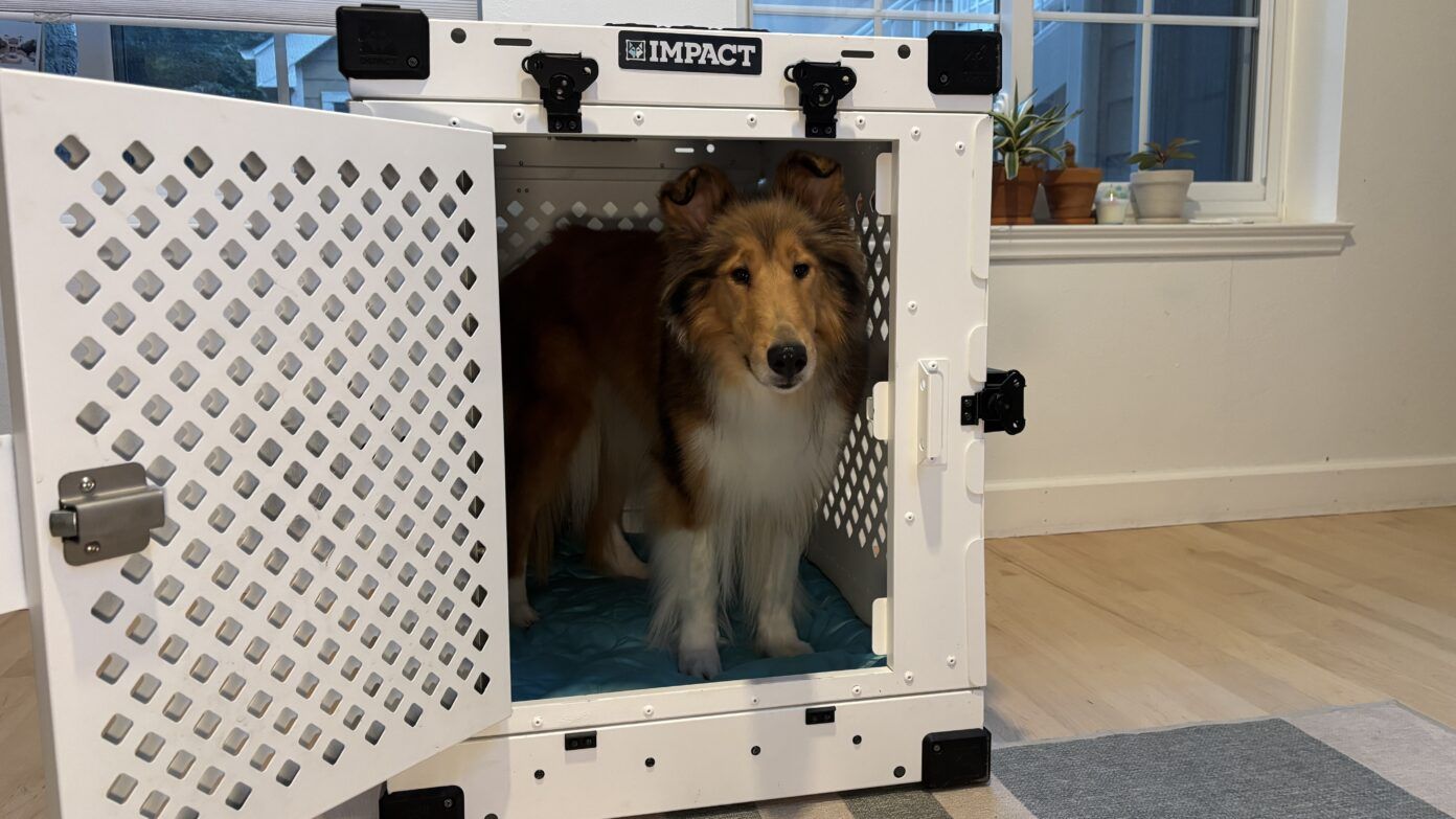 The Best Collapsible Dog Crates - Whole Dog Journal