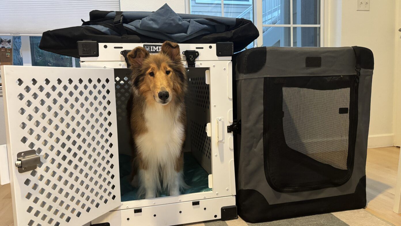 The Best Collapsible Dog Crates - Whole Dog Journal