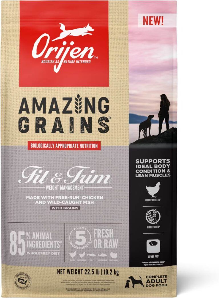 Best Dry Dog Food | 2026 Dry Dog Food Review